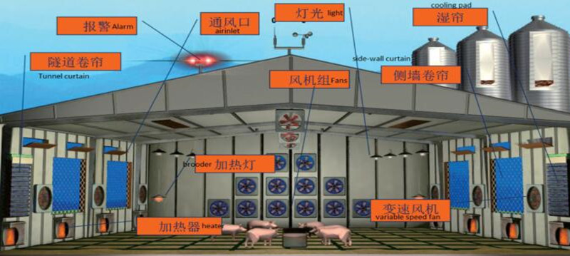 6 Factors to Consider in Designing and Constructing a Pig Farm ...